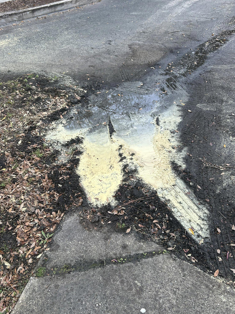 Buresh Blog: Winter not over yet...Move over pine pollen, time for oak pollen...increasing sun angle