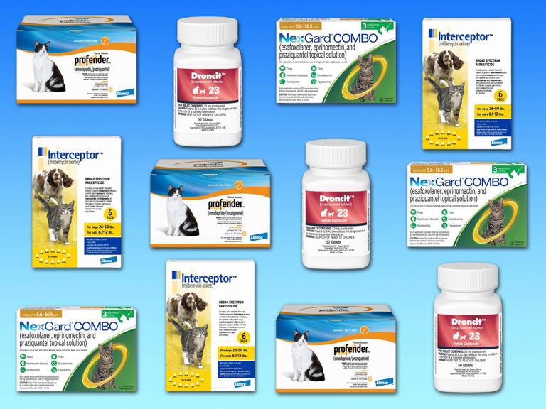The 4 best cat dewormers of 2025