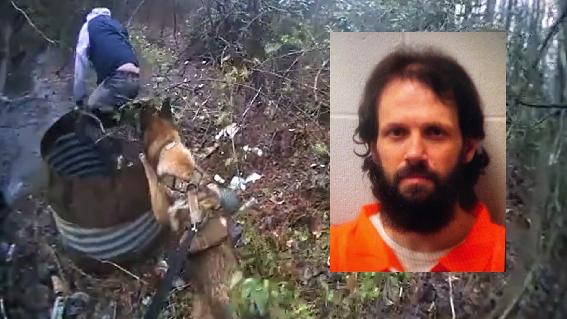 VIDEO: K9 tracks down suspect hiding in sewage drain in metro Atlanta woods