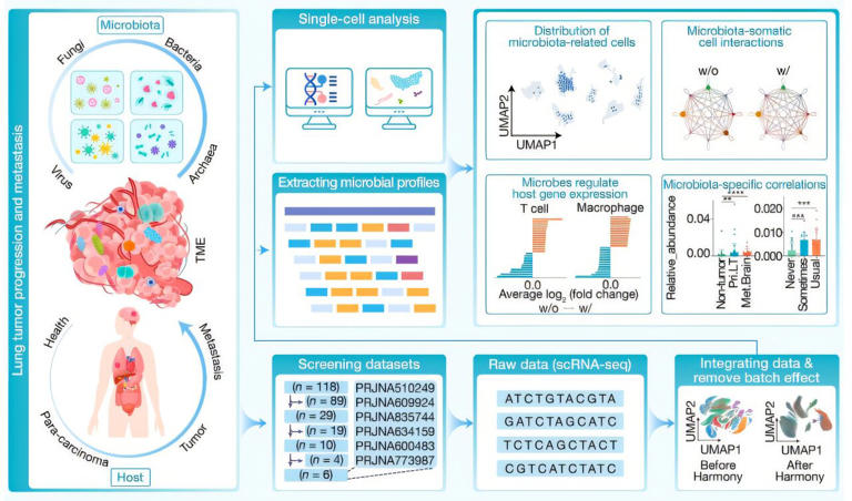 Intratumor microbiome's influence on lung cancer: A single-cell perspective