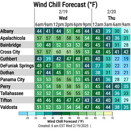 Freezing wind chills expected overnight in Bay County. Feb. 19, 2025 ...