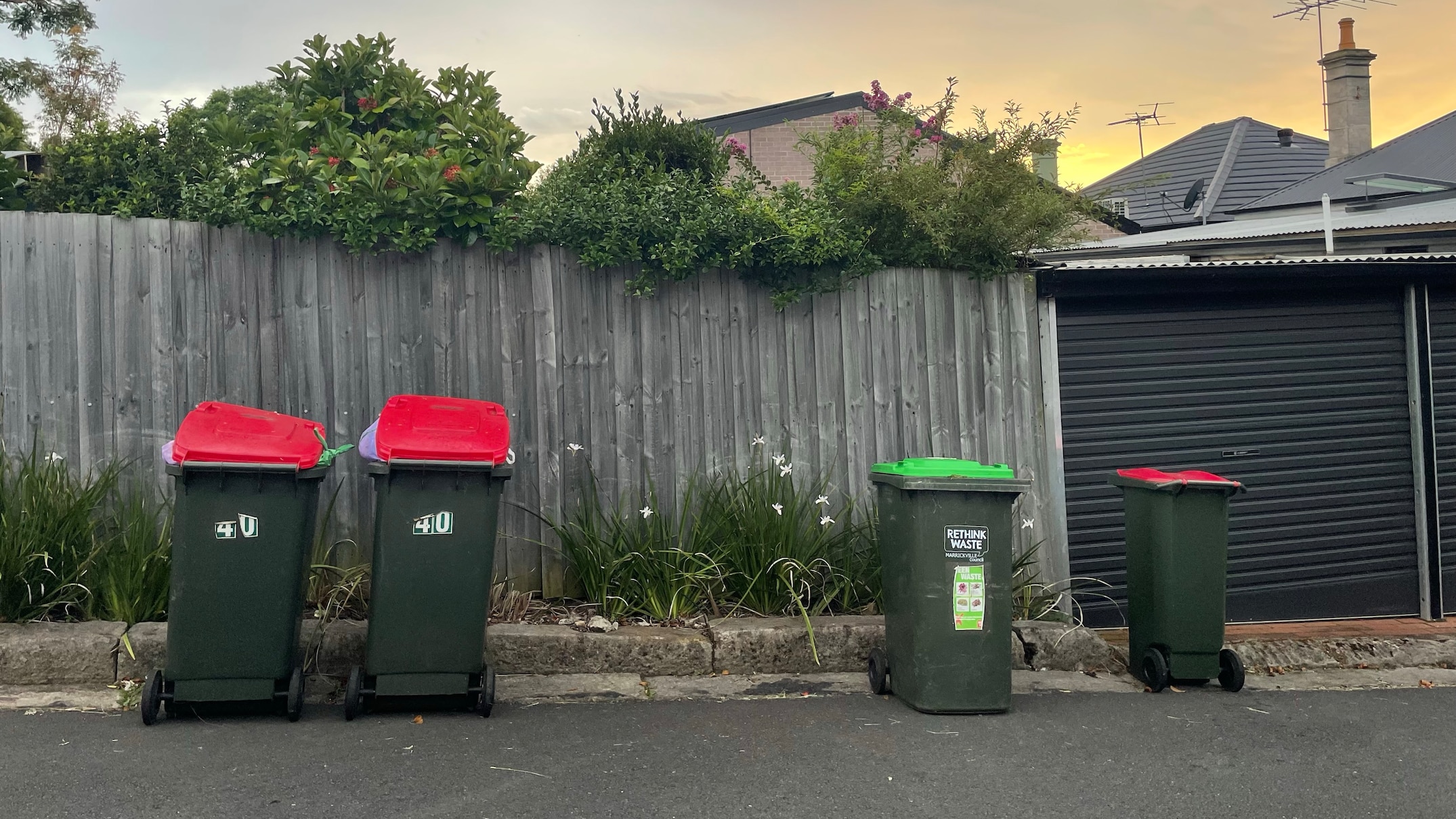 Sydney mayor says delayed red bin collection will impact large families ...