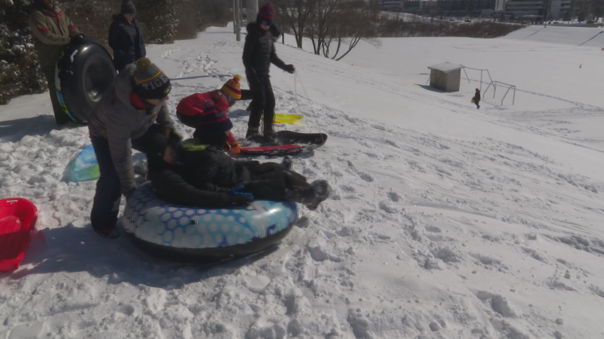 Springfield sledders braving single-digit temperatures