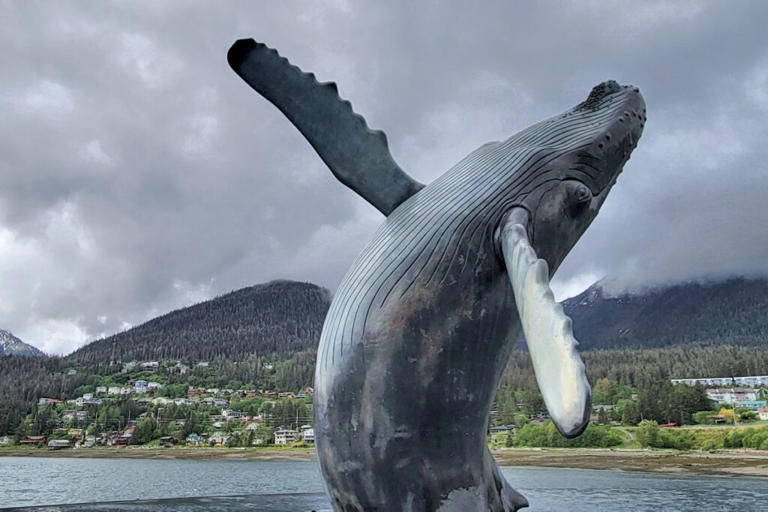 Perfect Excursions in Juneau, Alaska for Kids: Top 10 Family-Friendly ...