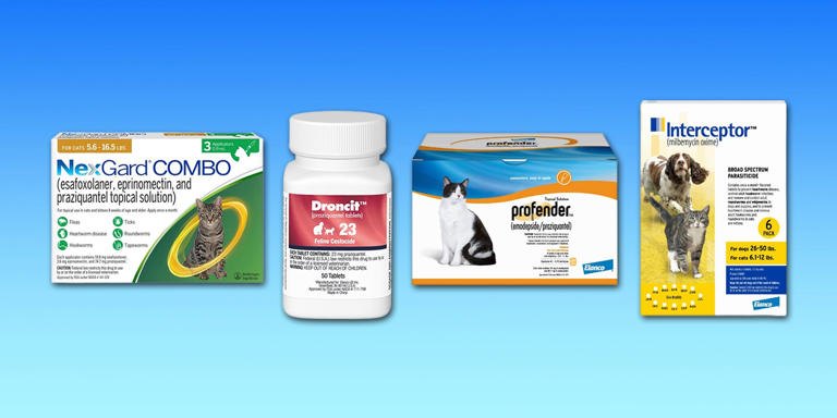 The 4 best cat dewormers of 2025