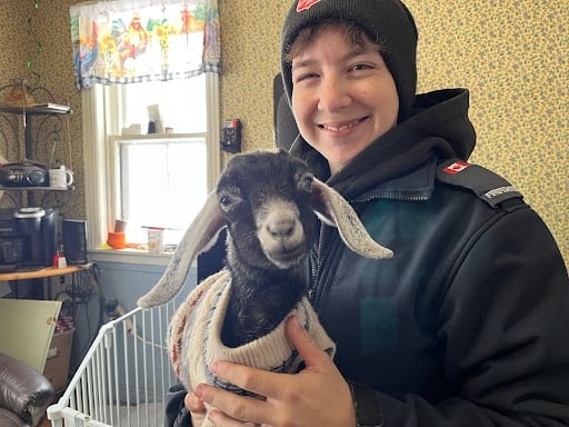 Owner of P.E.I. animal sanctuary hopes to rebuild barn that burned ...