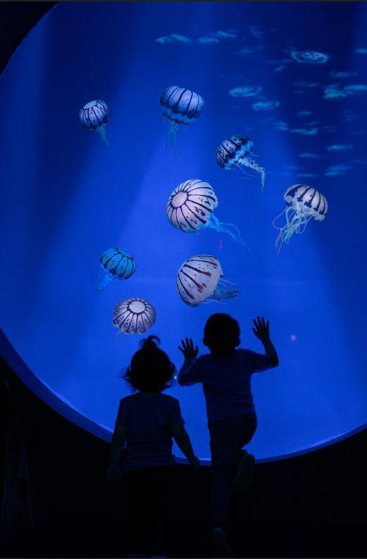 SeaWorld's new jam is a jellyfish exhibit that features a 14-foot aquarium