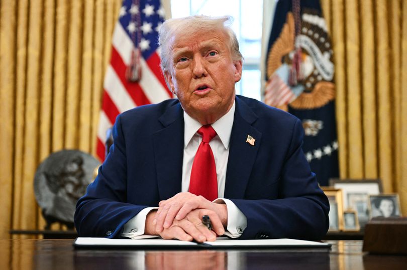 Putin's poodle loses it as Manbaby Donald Trump blames Ukraine for ...