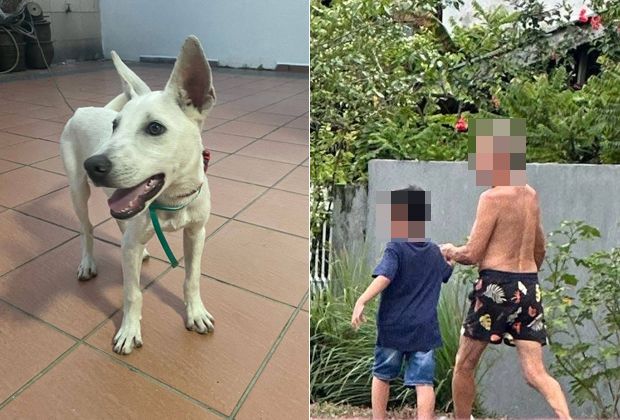 Video of man abandoning dog in Ipoh goes viral