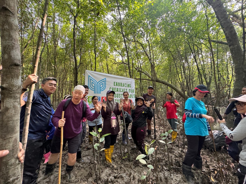 Ancom Nylex leads successful mangrove restoration initiative