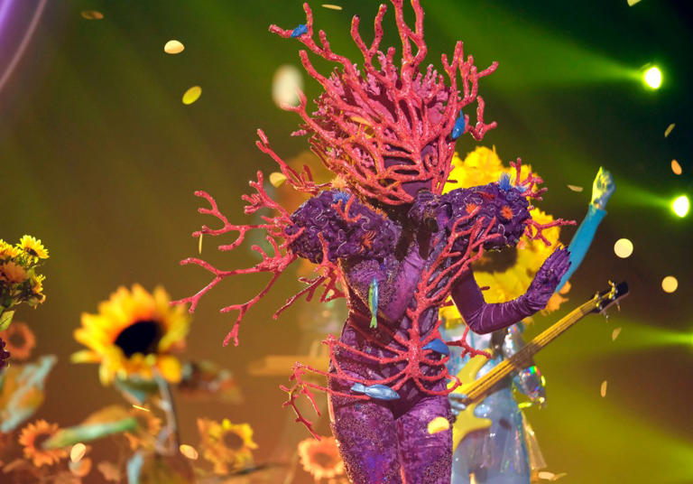 ‘The Masked Singer' Reveals Identity of Fuzzy Peas: Here Is the ...