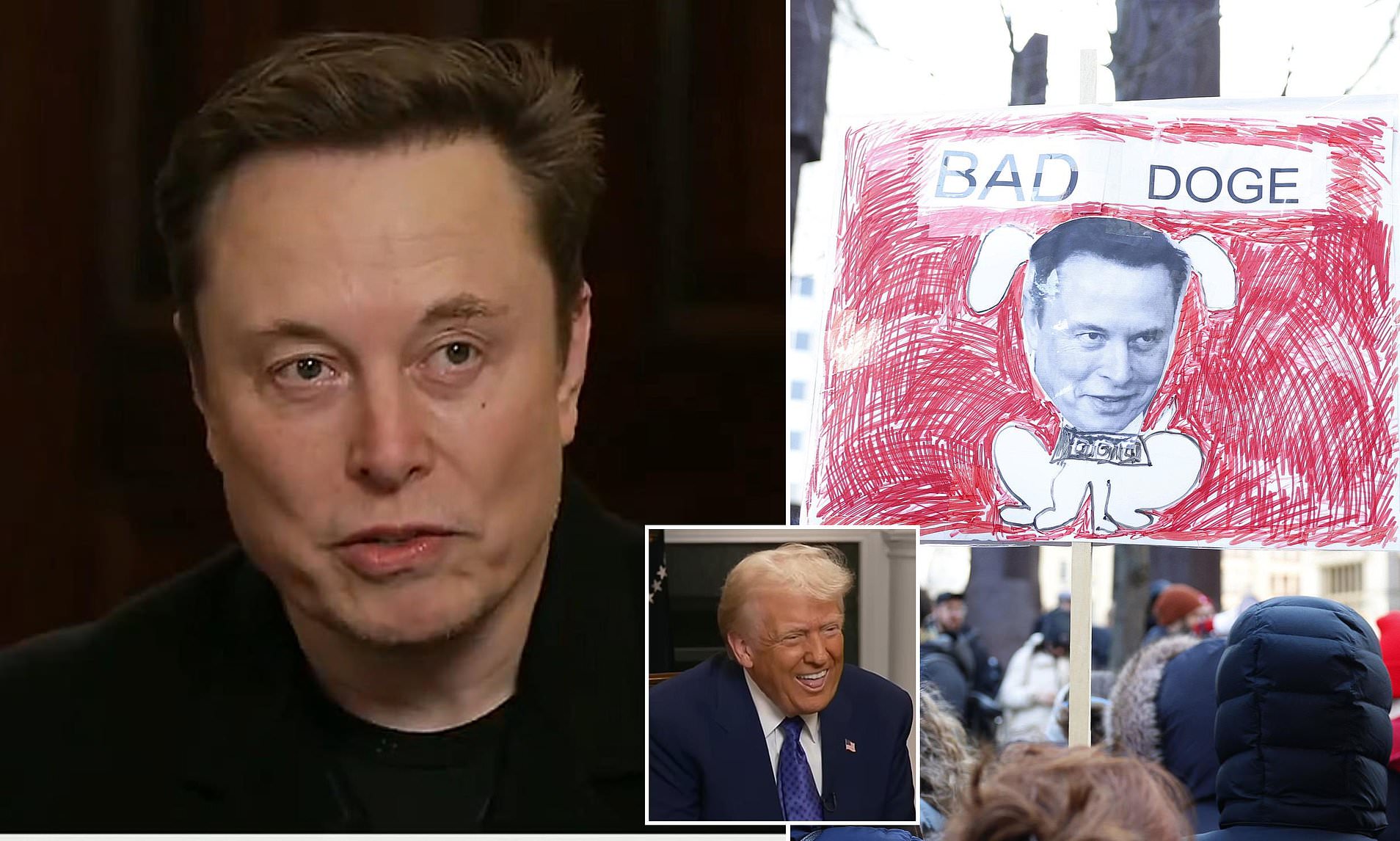 Musk warns of America's collapse if DOGE work isn't carried out