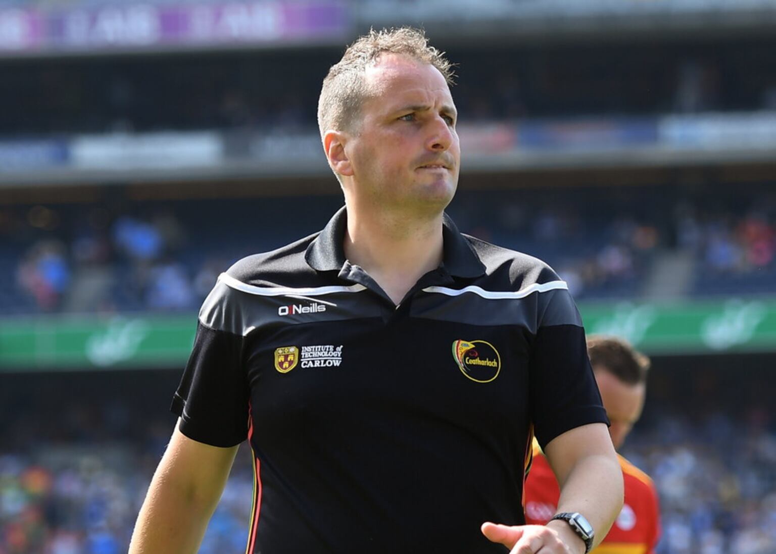 Green shoots the name of the game as Down native Steven Poacher puts ...