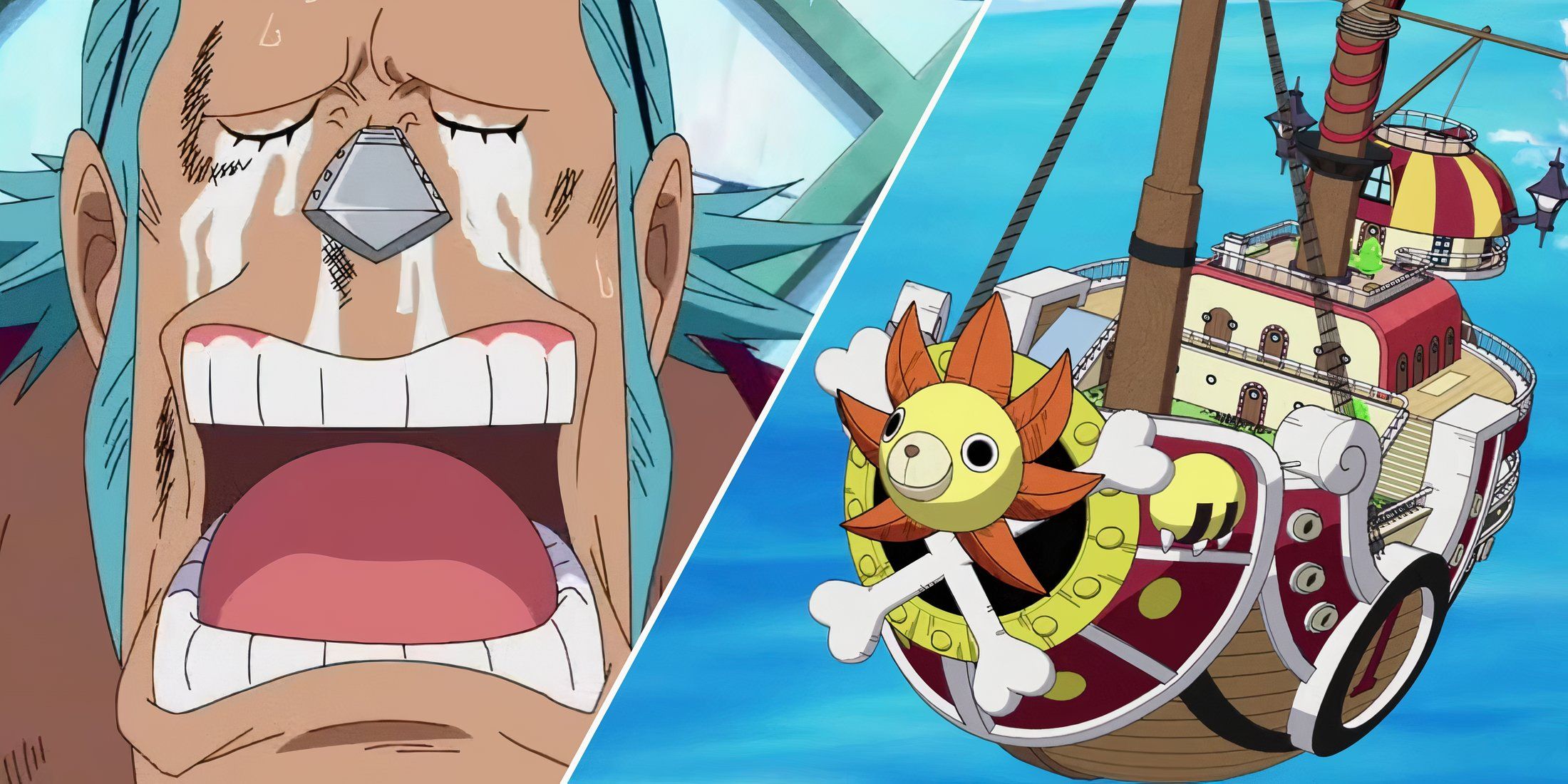 One Piece: The Thousand Sunny Is Underutilized