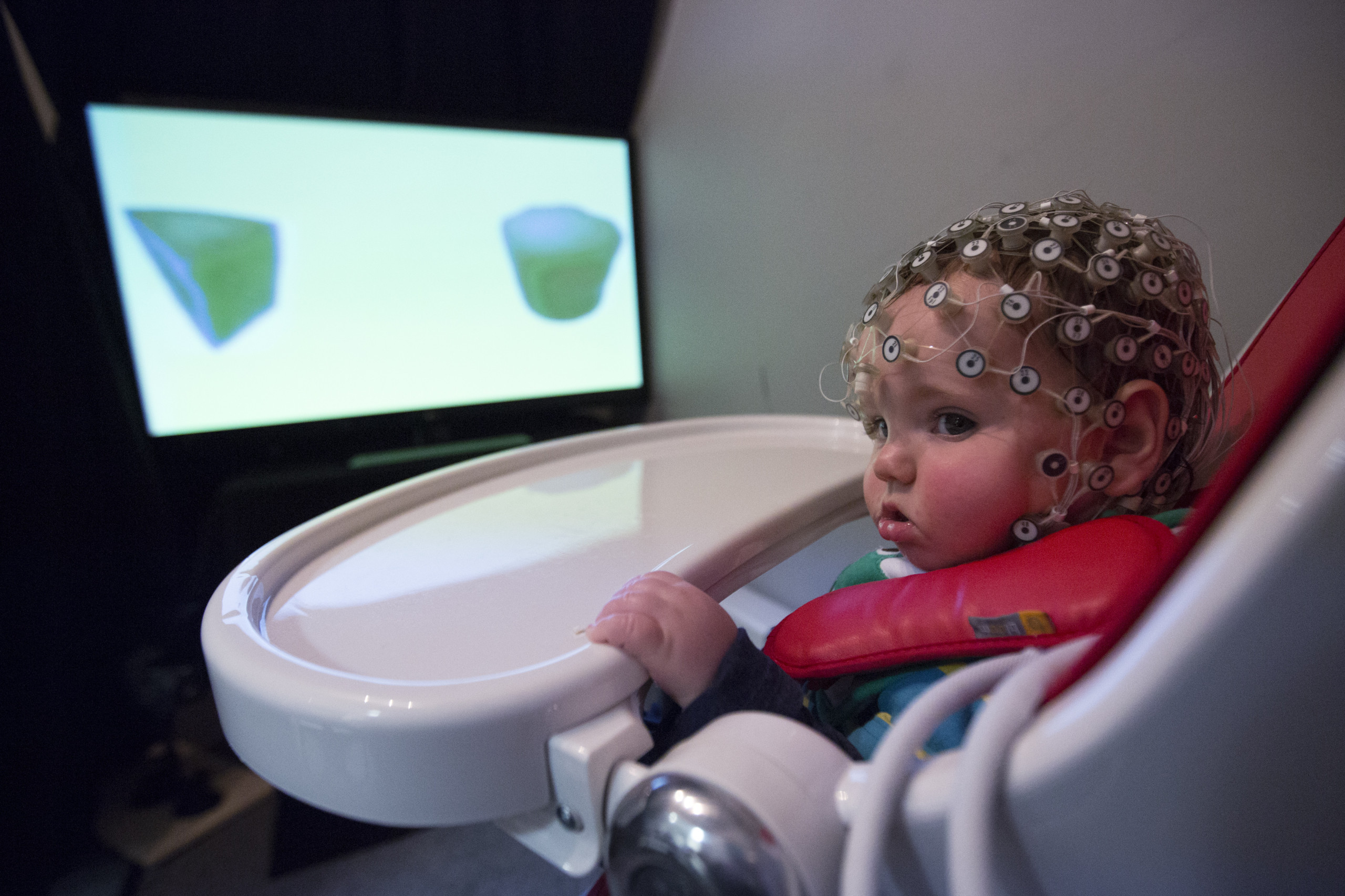 Why the human brain has shrunk