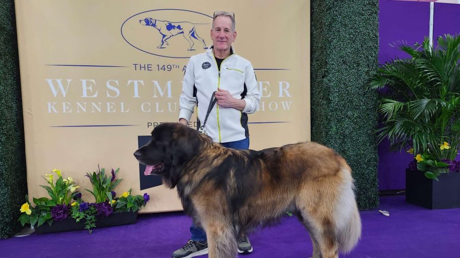Colorado Springs dog competes at nationally televised dog show