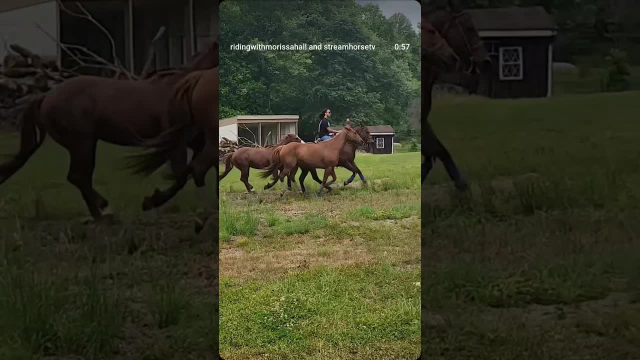 Horseback Riding with Multiple Horses
