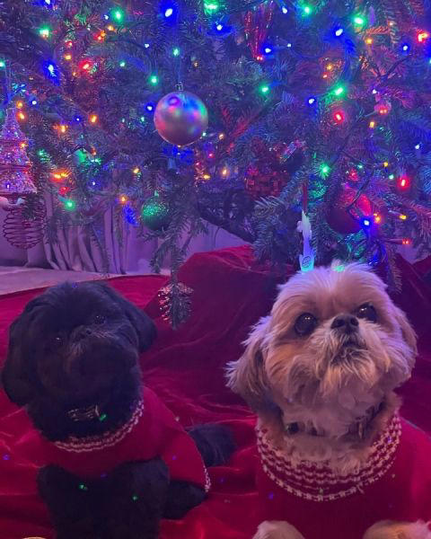 Kelly Ripa opens up about tragic family loss: 'It's over now'