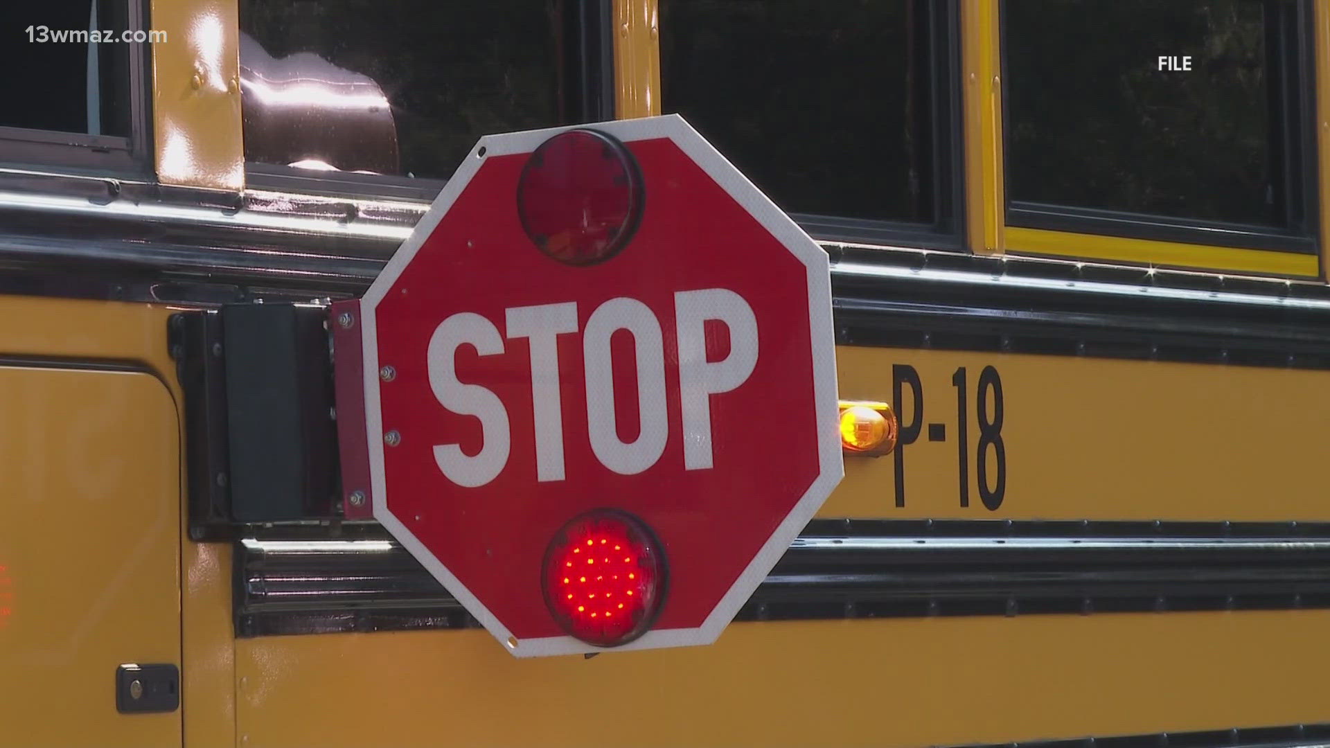 Addy's law faces threat as Georgia lawmakers consider penalty reductions