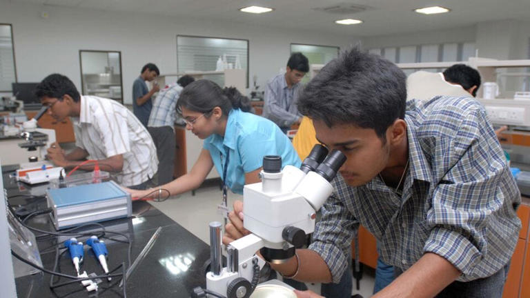 World Reputation Rankings 2025: Harvard University retains top spot; 4 ...