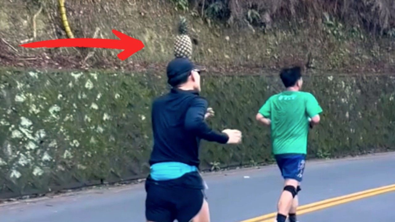 Runner balances pineapple on his head through entire marathon