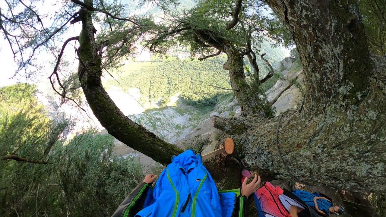 Wingsuit BASE Jump from a TREE | 360 VR