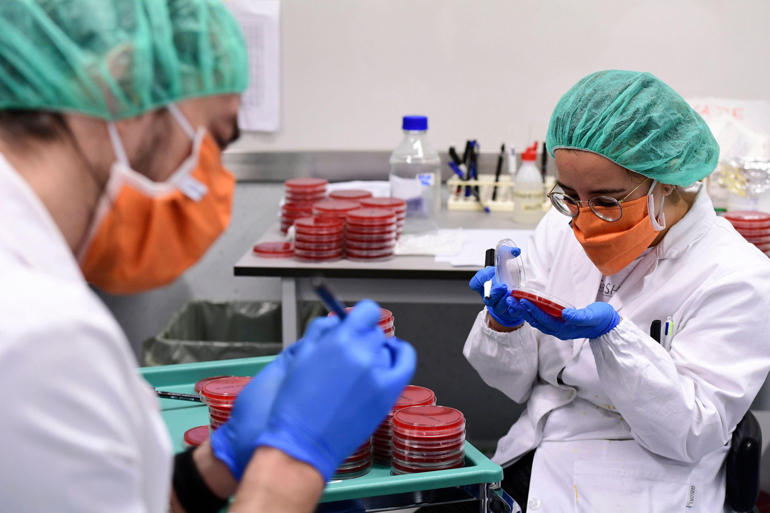 Bakteerit, jotka auttavat ihmisiä