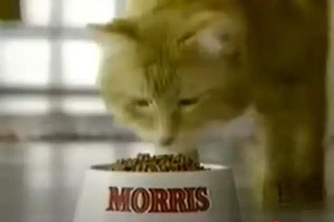 10 Iconic 1970s TV Mascots That Have Mostly Faded from the Spotlight or ...