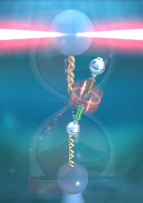 Forward and Backward Motion is Symmetric in Molecular Shuttling