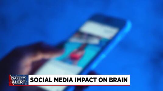 Social media scrolling could cause brain rot