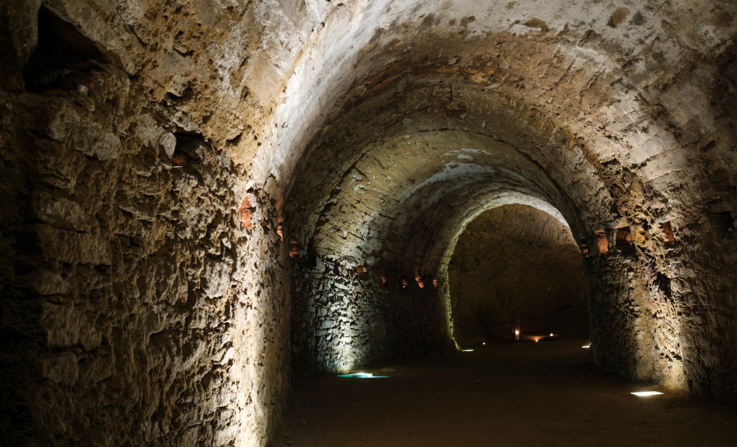 Unglaubliche Funde unter der Erde: Von Dinosaurierskeletten bis zu ...
