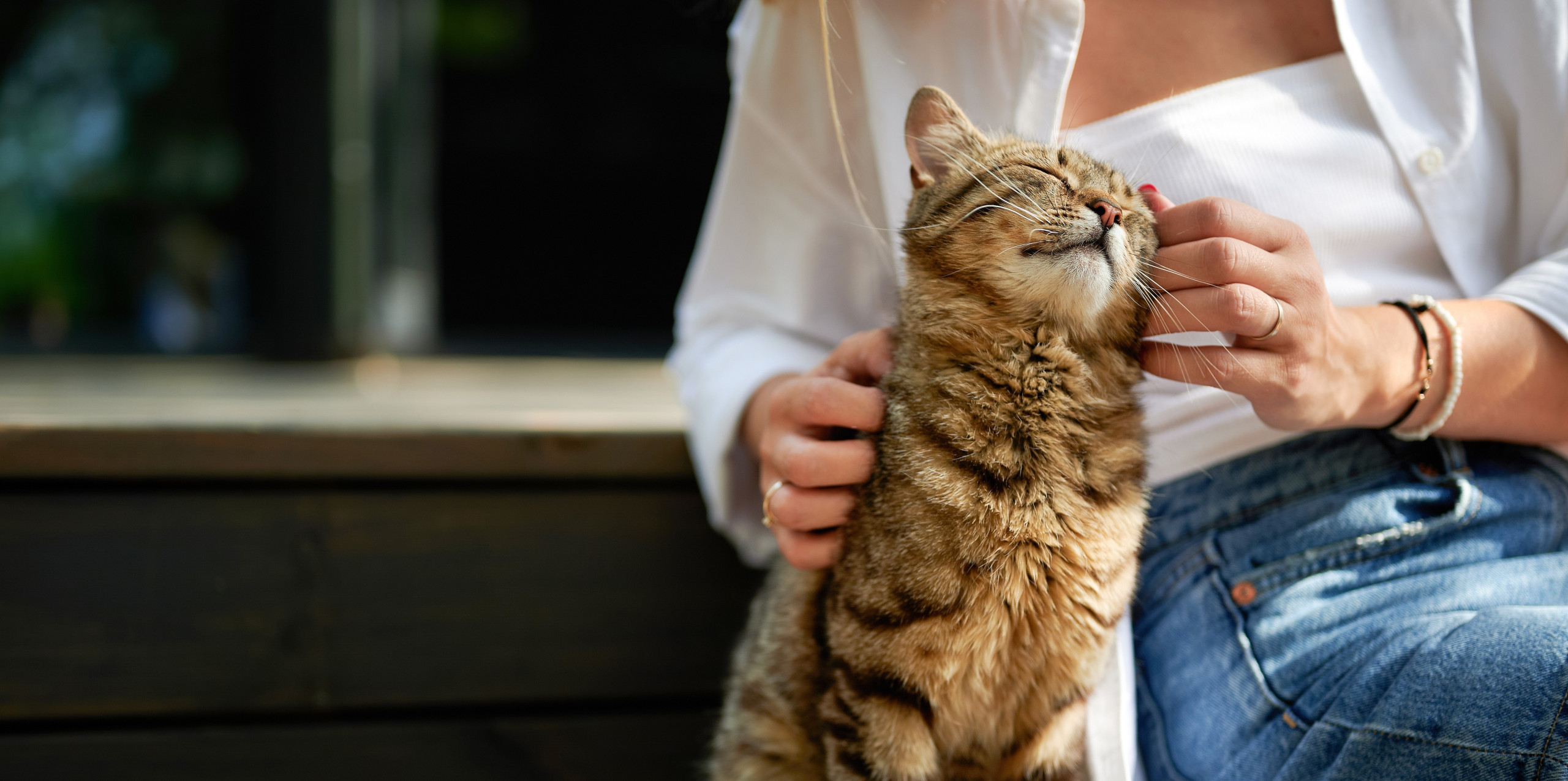 30 animals with surprisingly human traits