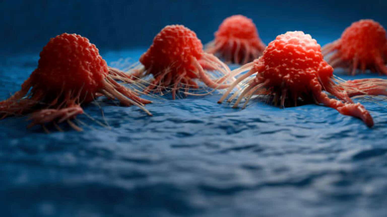 Pfizer, Arvinas submit marketing application for vepdegestrant to the FDA