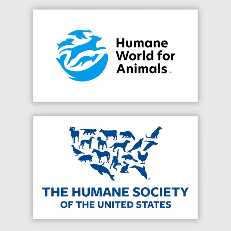 The Humane Society rebrands as the Humane World for Animals to showcase ...