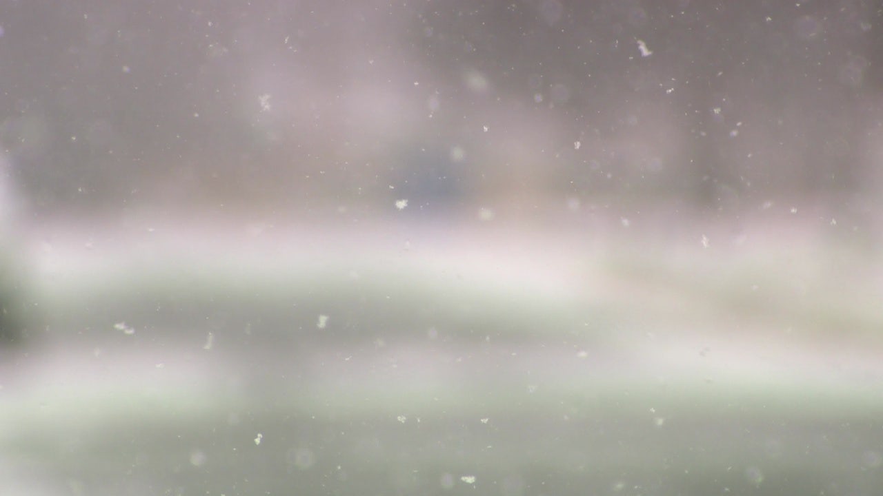 Maryland snow storm: Wintry mix brings ice dangers over weekend after ...