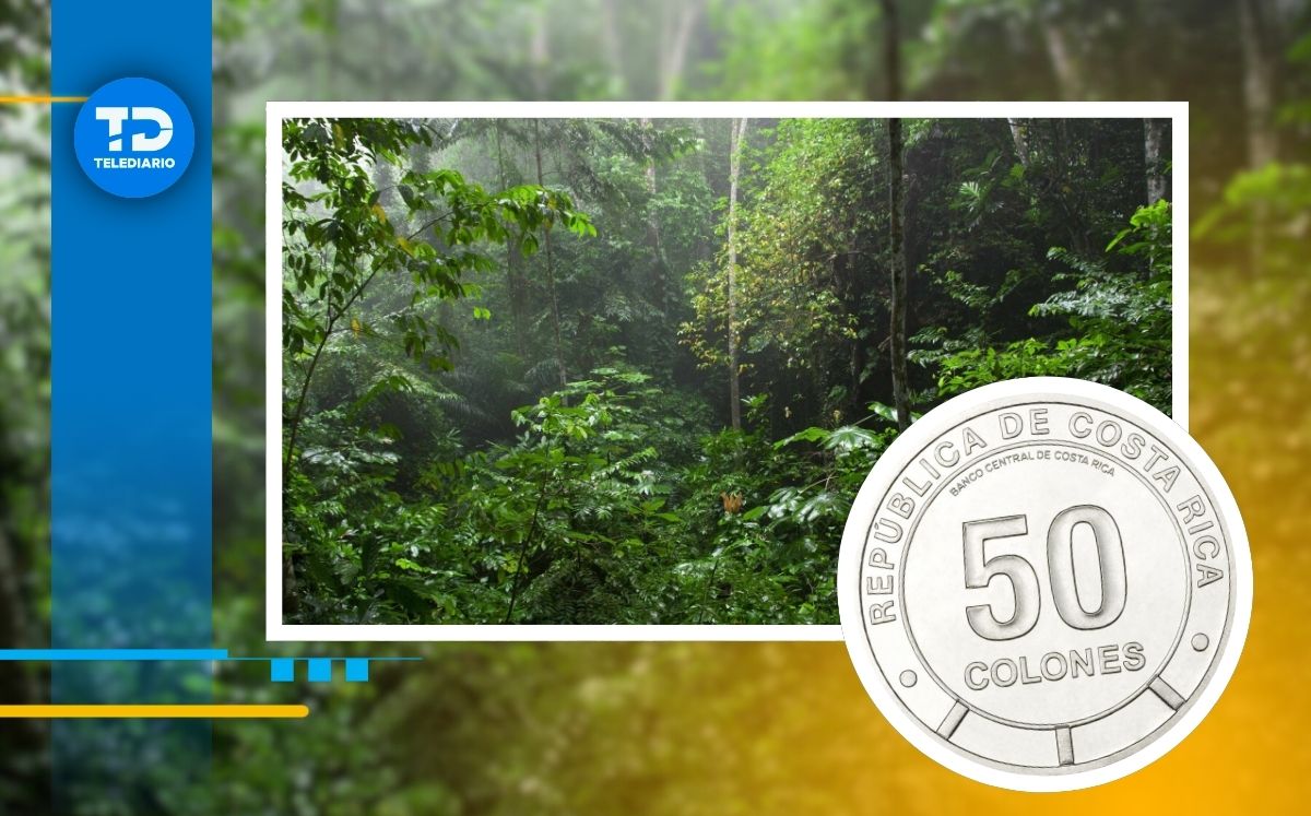 Cómo es la nueva moneda de 50 colones