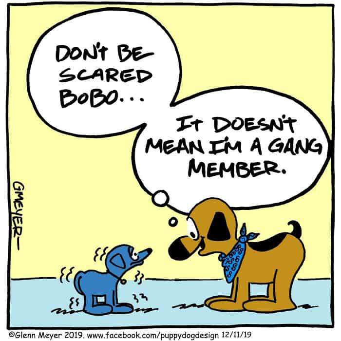 45 Funny Dog Comics That Perfectly Capture The Chaos Of Owning A Pup By ...