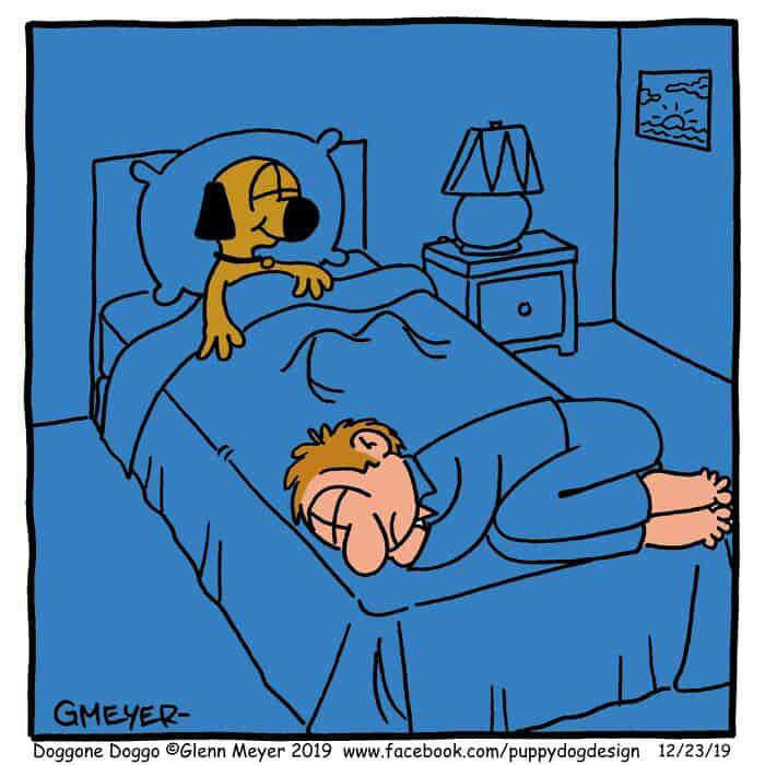 45 Funny Dog Comics That Perfectly Capture The Chaos Of Owning A Pup By ...