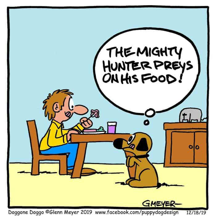 45 Funny Dog Comics That Perfectly Capture The Chaos Of Owning A Pup By ...