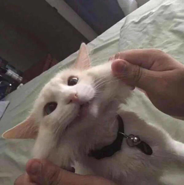 45 Funny Pictures That Are The Perfect Reminder This Week Is Almost ...