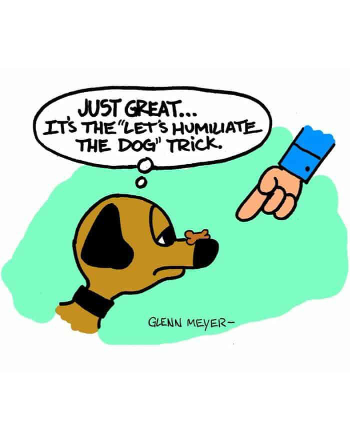 45 Funny Dog Comics That Perfectly Capture The Chaos Of Owning A Pup By ...