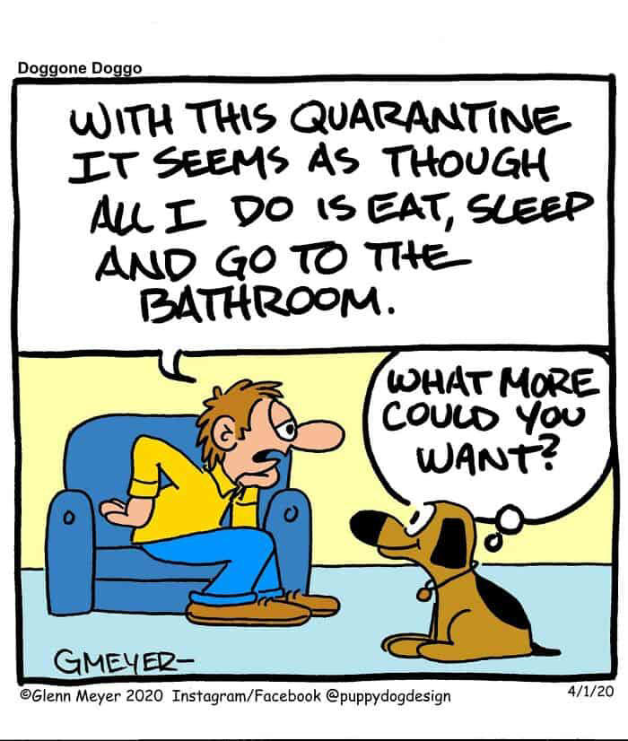 45 Funny Dog Comics That Perfectly Capture The Chaos Of Owning A Pup By ...