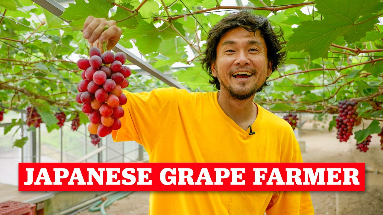 Japan’s Obsession with Perfect Grapes