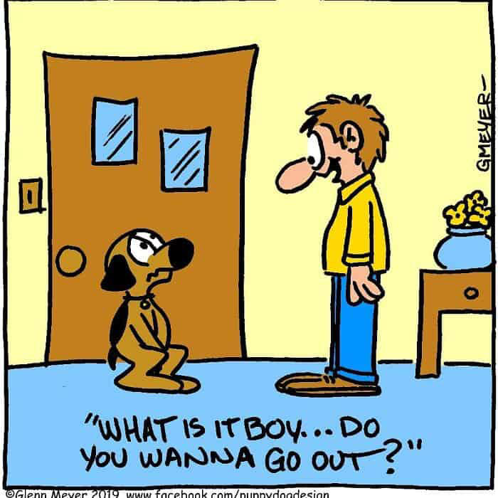 45 Funny Dog Comics That Perfectly Capture The Chaos Of Owning A Pup By ...
