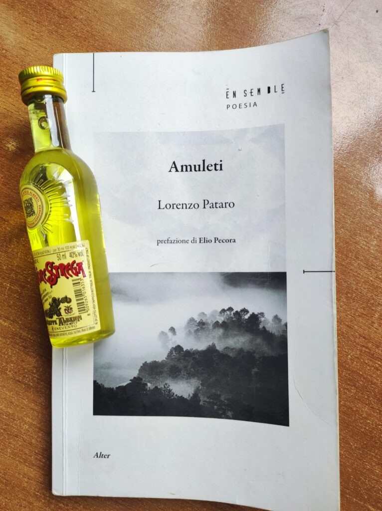 Muore a 27 anni il poeta Lorenzo Pataro, era stato finalista allo ...