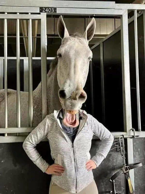 45 Funny Pictures That Are The Perfect Reminder This Week Is Almost ...