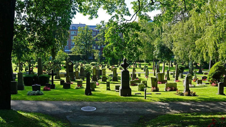 Satellite images show how hundreds of North Korean troops were likely ...