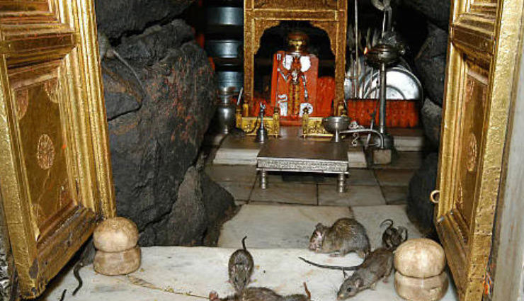 10 Must Visit Maa Durga Temple in India