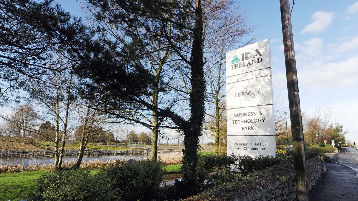 IDA targets 75,000 new FDI jobs as it navigates global challenges