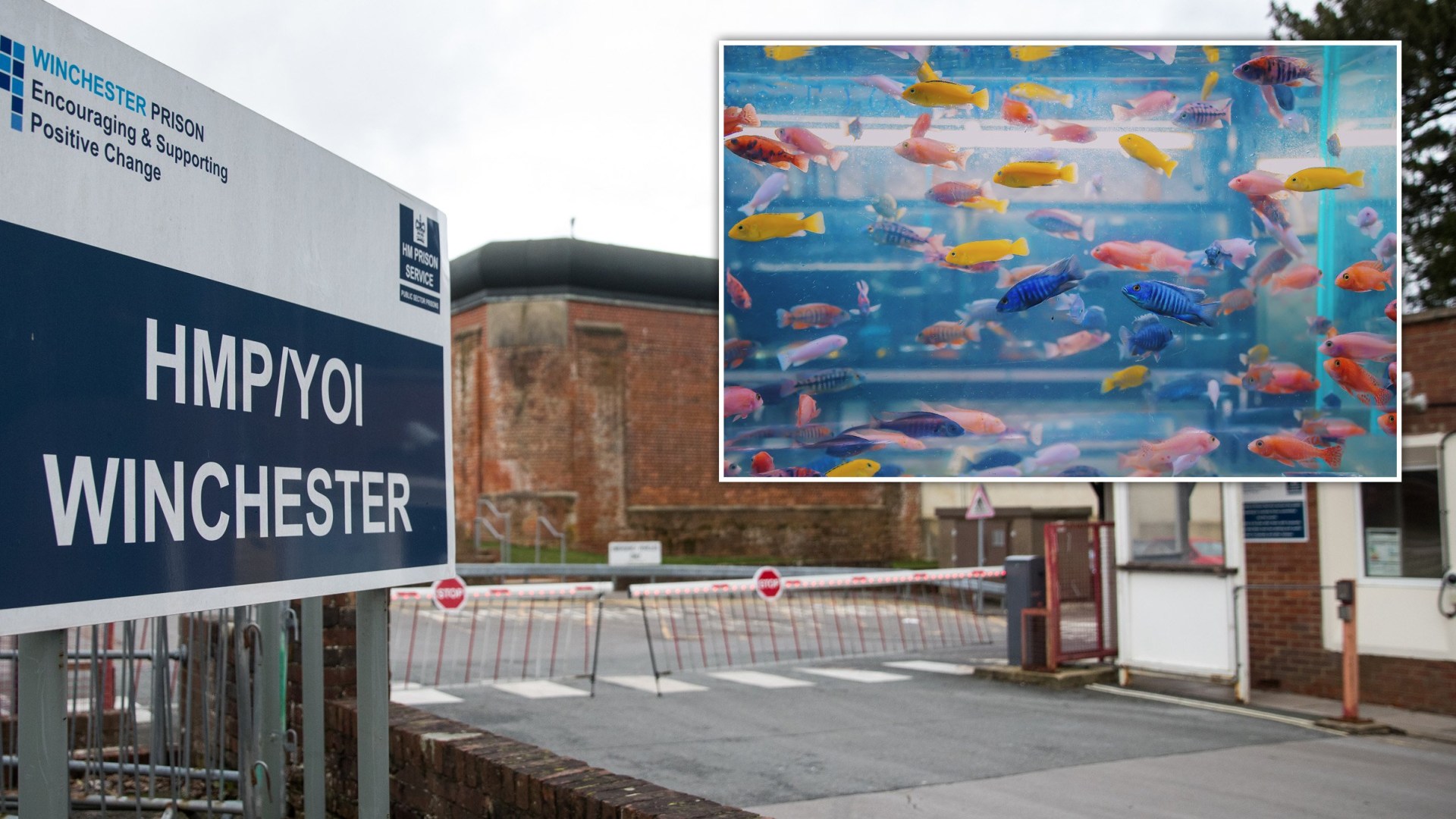 'Dilapidated and dirty' prison spent £8,000 on a fish tank